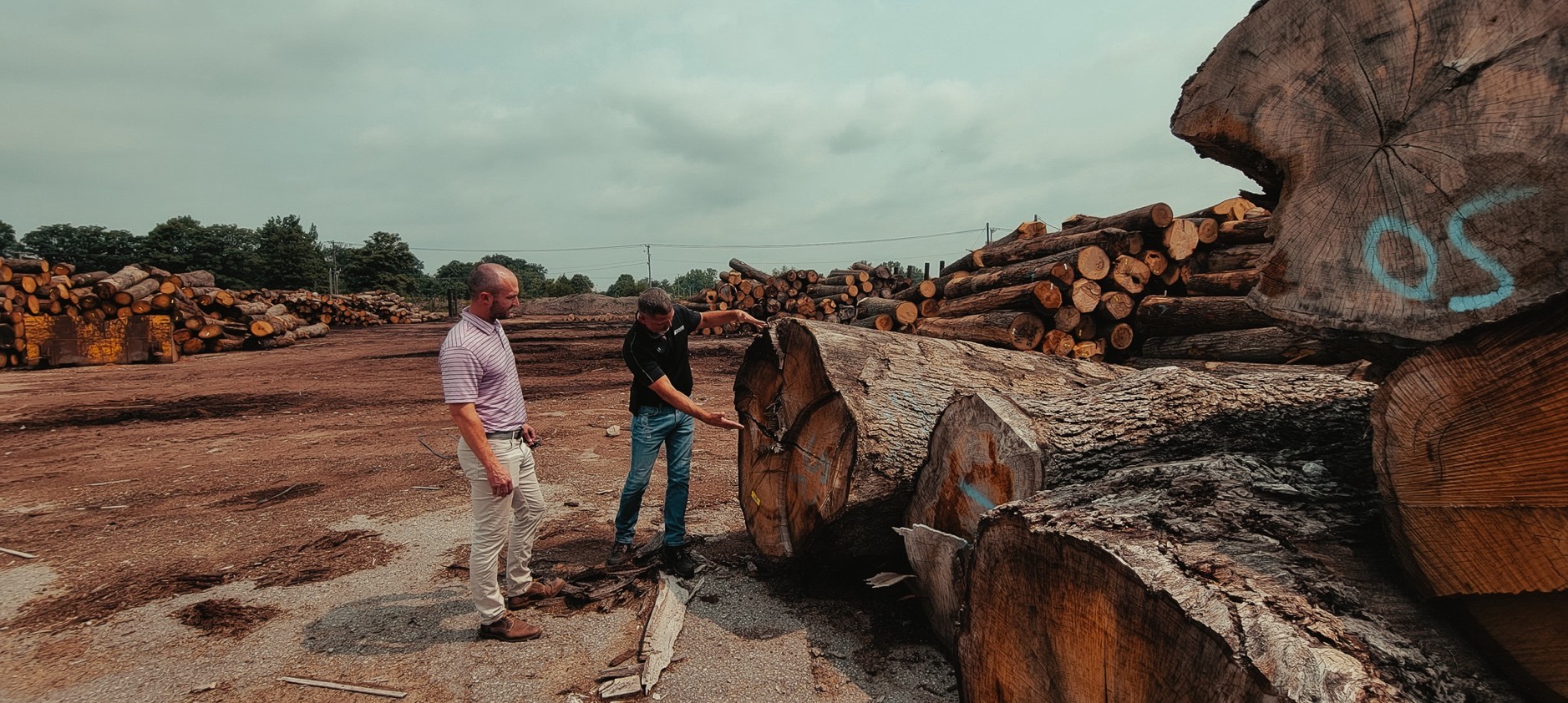 DMSi Log system - DMSi