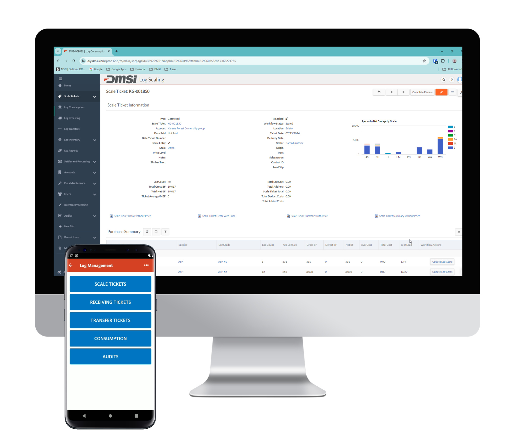 DMSi Log system - DMSi